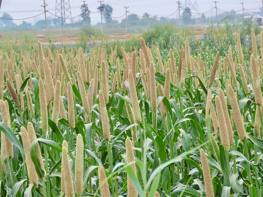 Zero Excuses | Birding Escapades | Natasha Musing